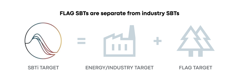 Explained: What SBTi FLAG Means for Fashion Brands